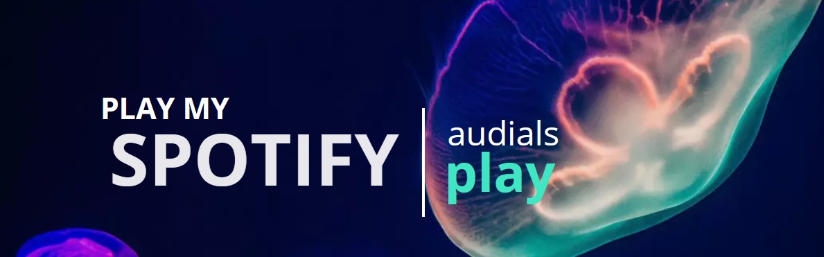 Audials Play 2021 Review: What Is Great About Free Music Management?